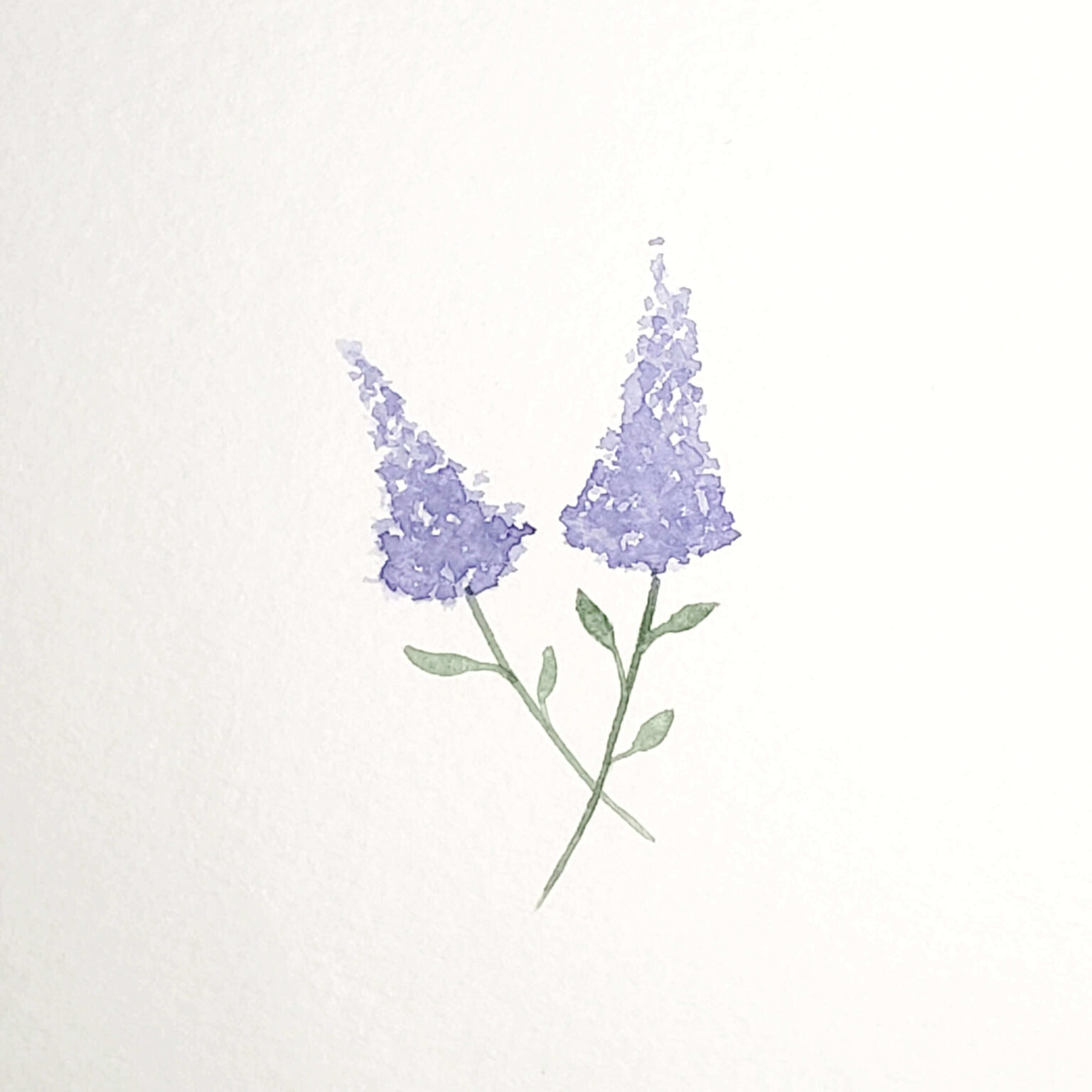 What Are The Advantages Of Watercolours? (9 Awesome Benefits) | Miranda ...